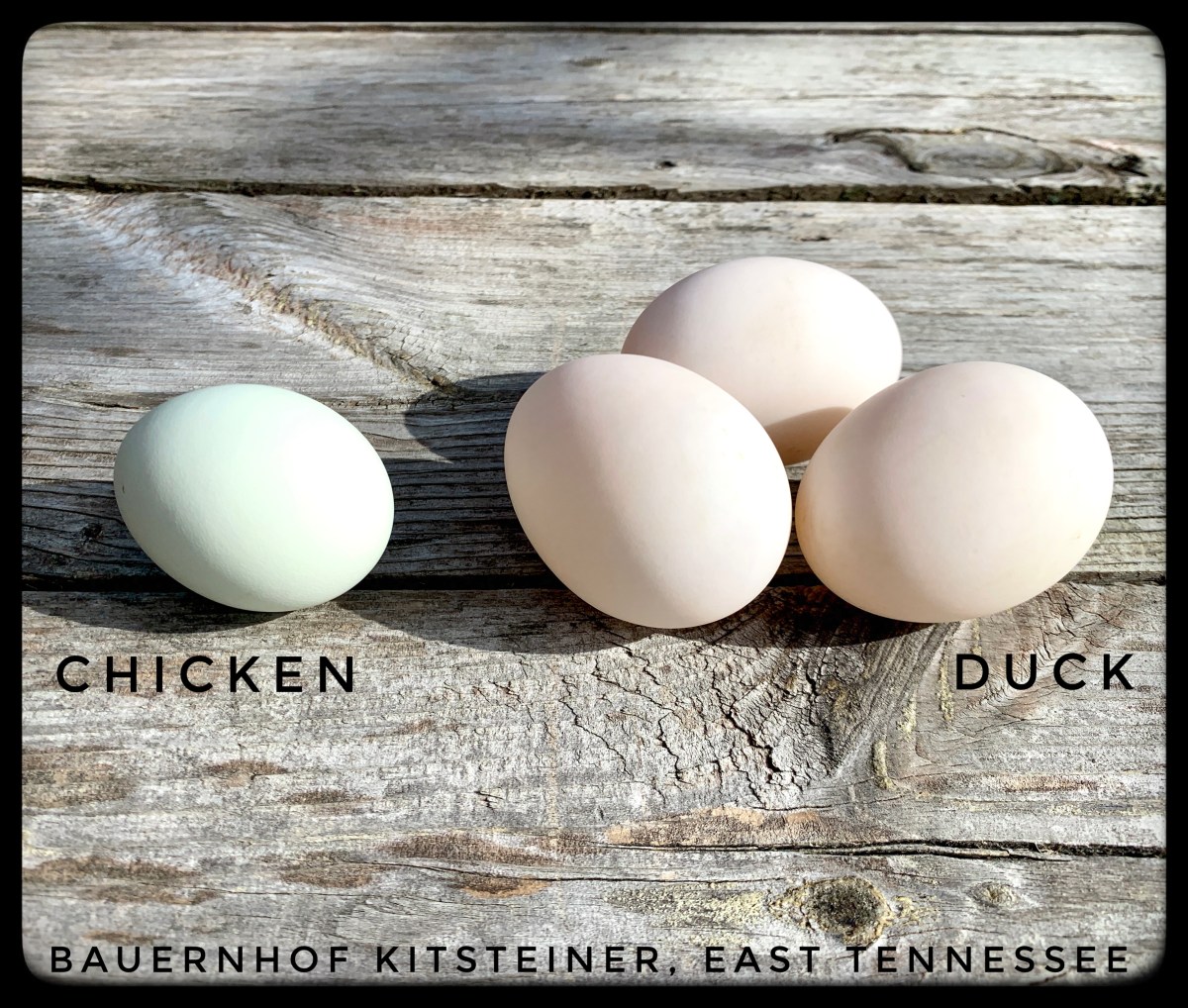 Bakers Love Duck Eggs! – The Bauernhof Kitsteiner